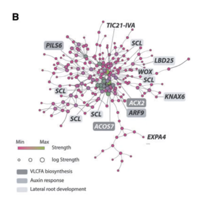 WGCNA 学习：WGCNA 分析原理 - 生信学习 | Zhou Xiaozhao = 小钊の笔记 = 前天是小兔子，昨天是小鹿，今天是你